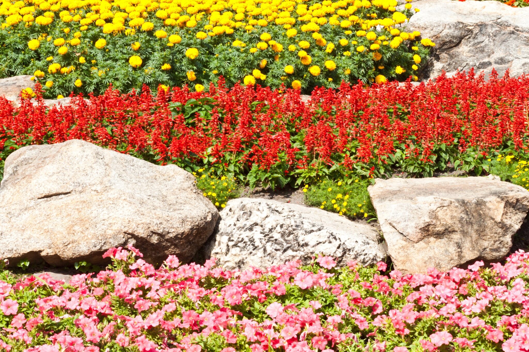 Landscape Edging Stone Ideas to Elevate Your Curb Appeal