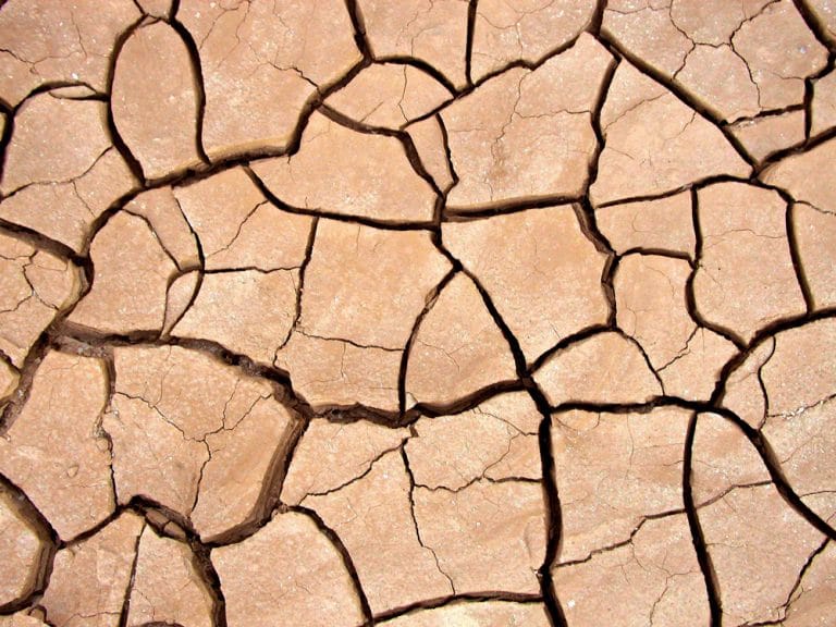 How to improve clay soil for lawns