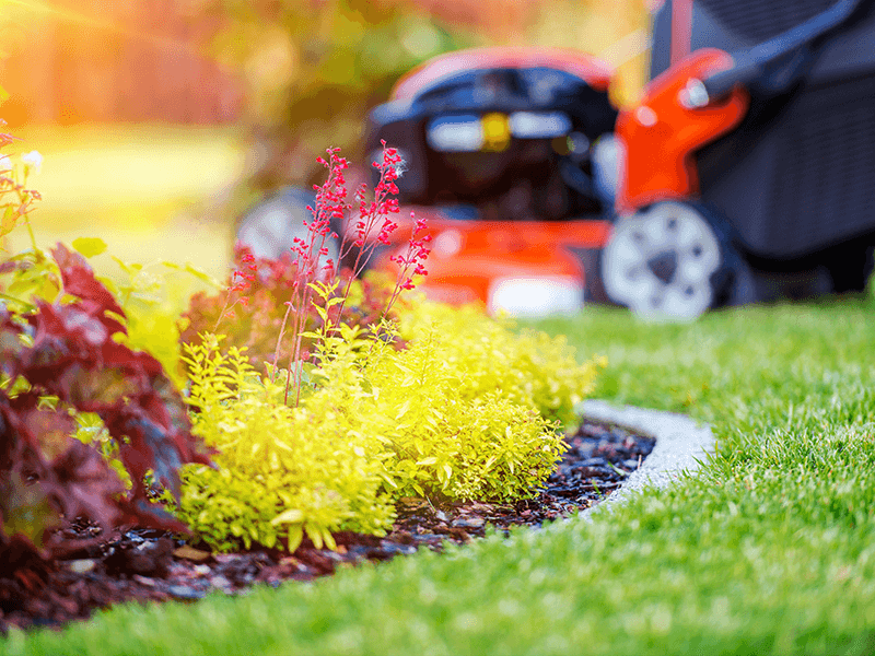 Full Service Lawn Care | Ryno Lawn Care LLC