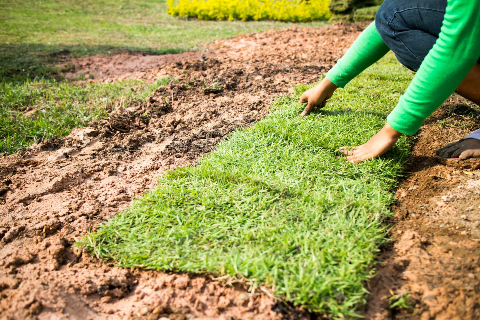 How to Fix Thin Bermuda Grass & Get a Dense, Lush Lawn