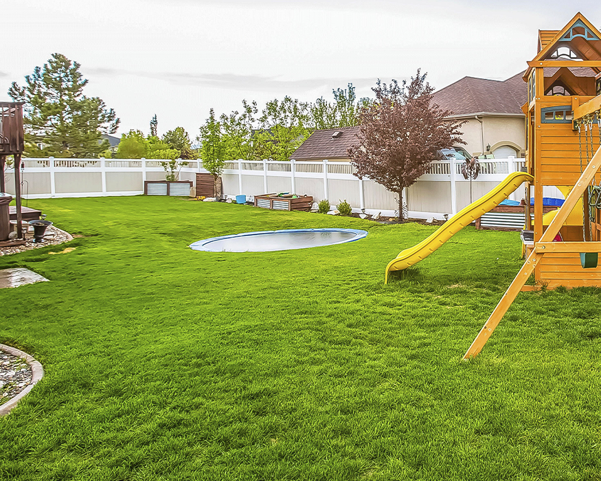 Trophy Club Lawn Fertilization Treatments