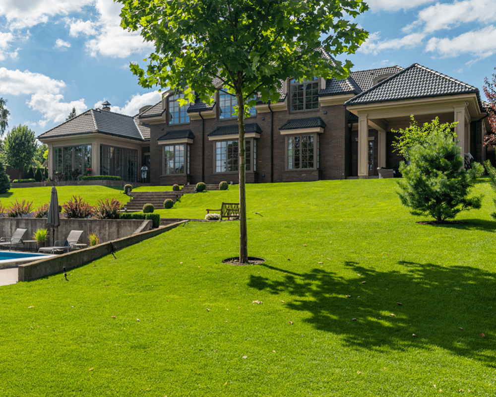 Insect Control: How to Control Grub Worms in Lawn