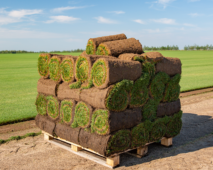 Premium Sod Installation in Southlake, TX - Ryno Lawn Care