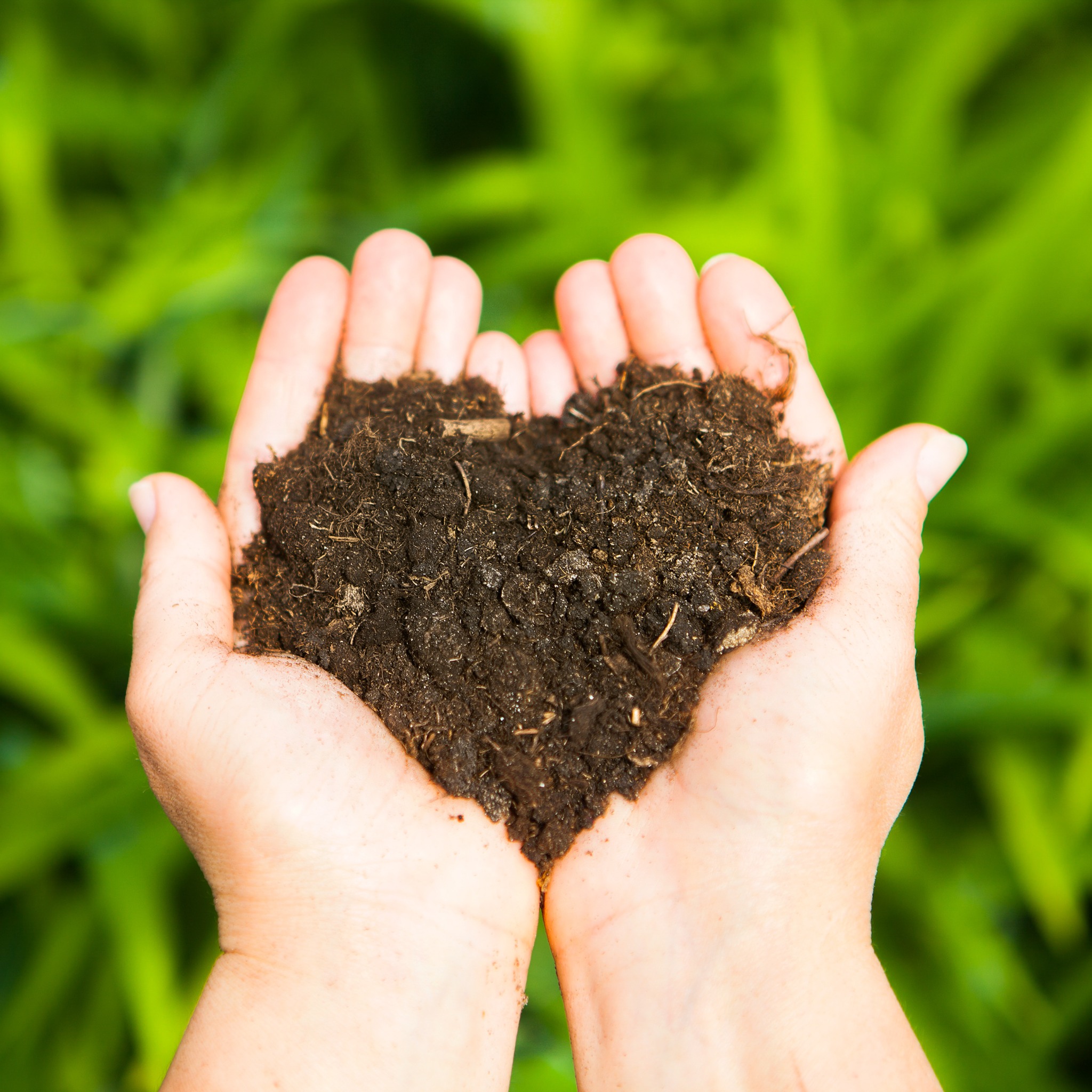 Soil Rejuvenation | Revitalize Your Lawn from the Ground Up