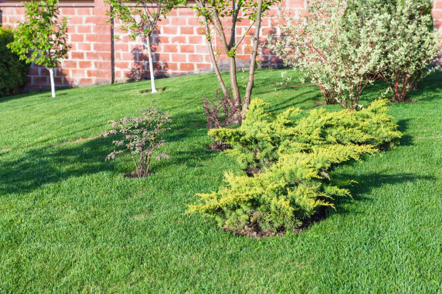 Lawn Leveling for the Growing Season-Tips for a Beginner