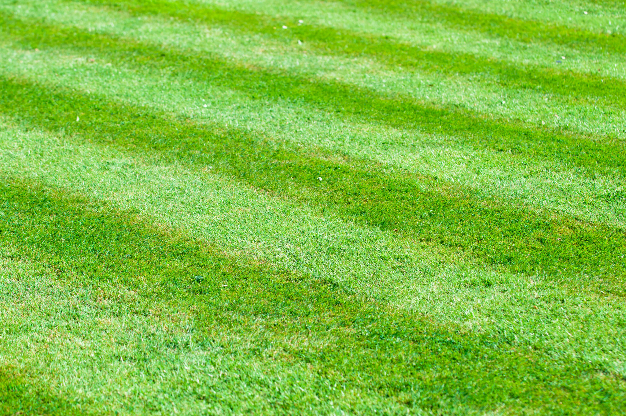 DIY Lawn Striper Kit: Make Your Lawn Look Like a BallPark